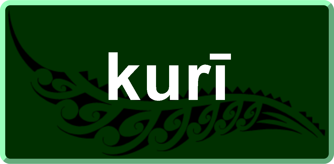 kurī: dog