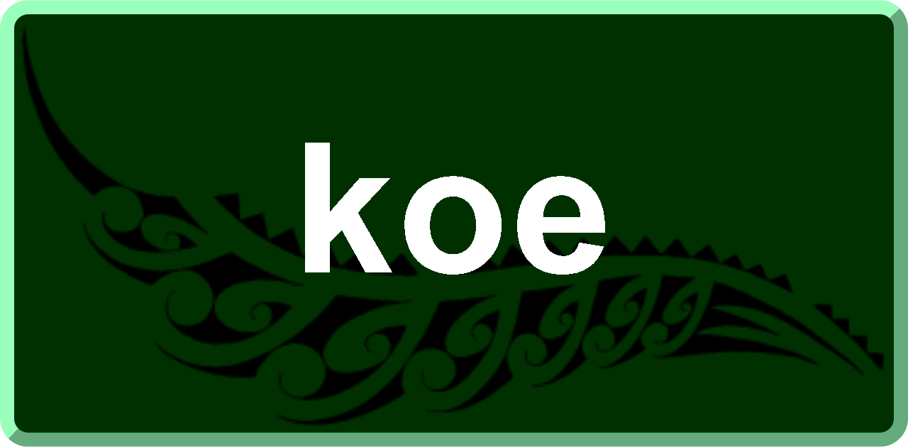 koe: you
