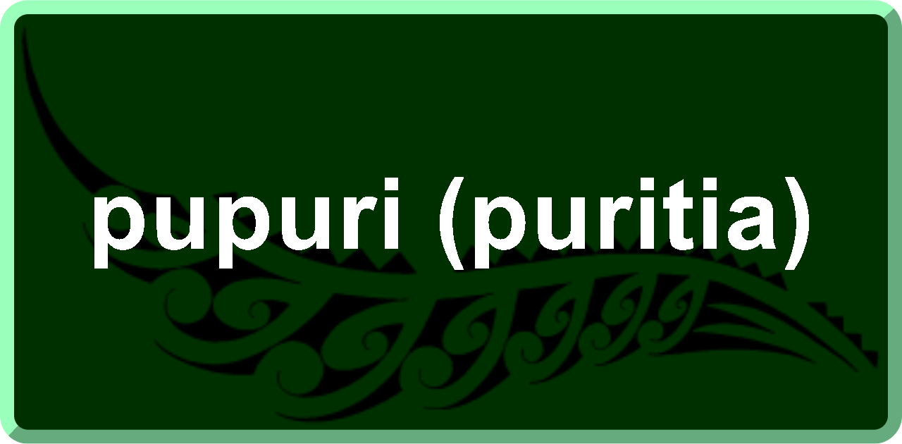 pupuri (puritia): to hold, to grasp