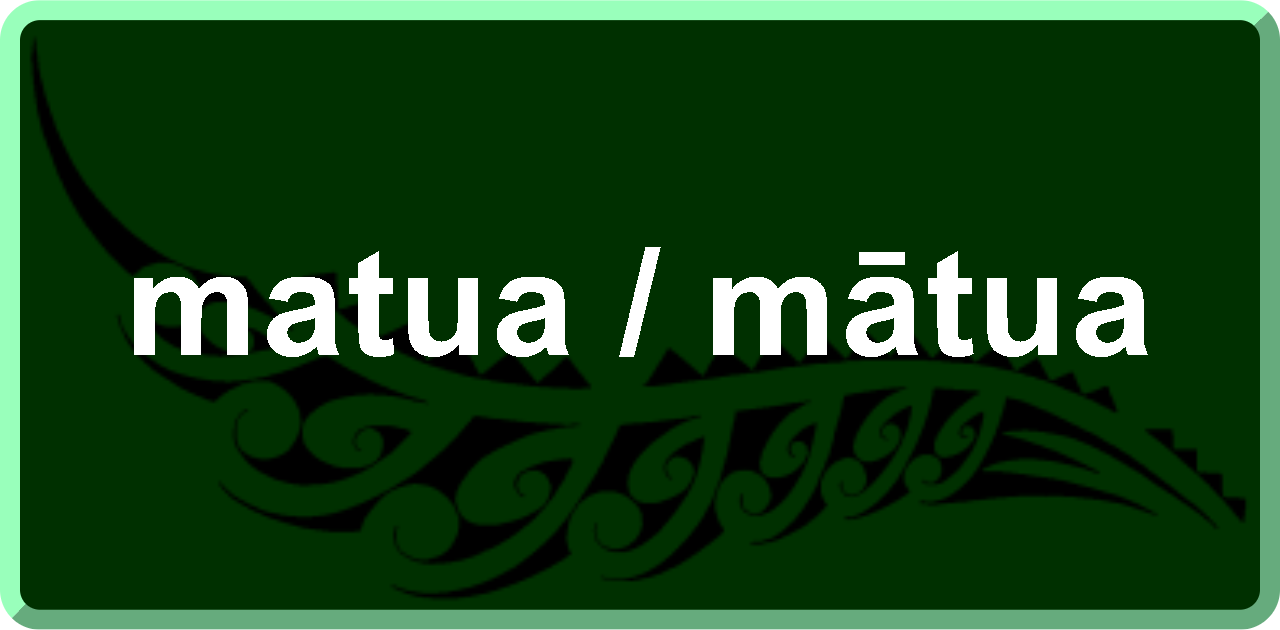 matua / mātua: father, parent / parents