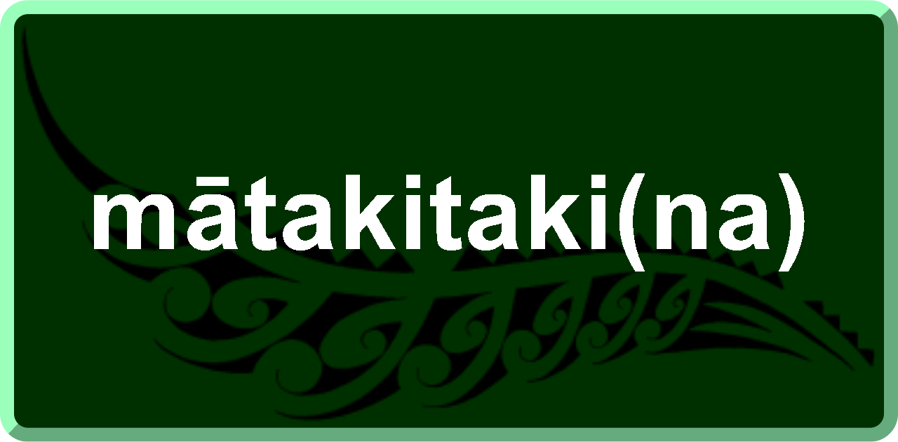 mātakitaki(na): watch