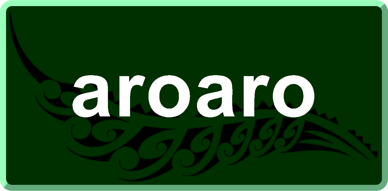 aroaro: face/front