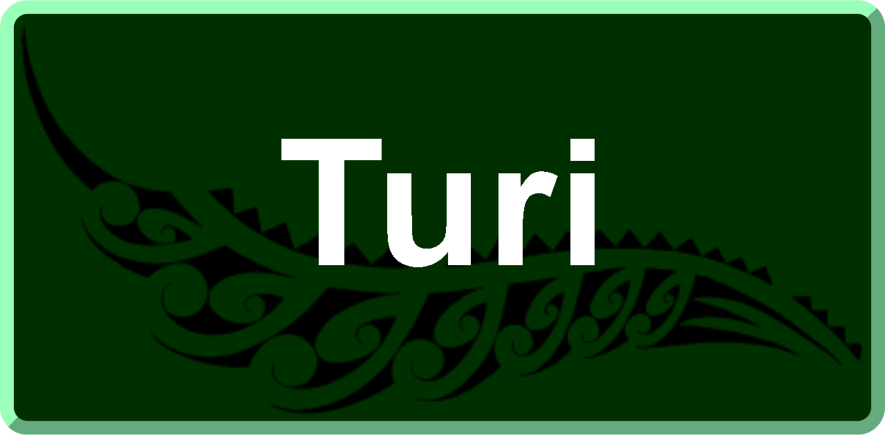 Turi : deaf