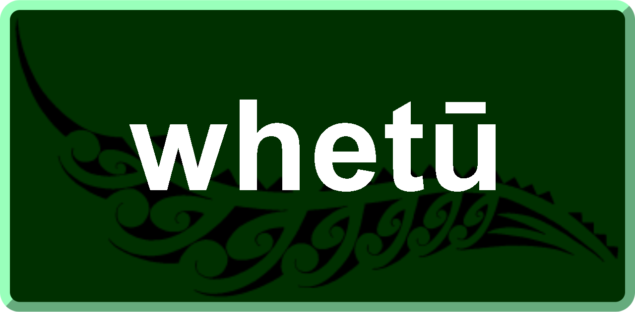 whetū: star
