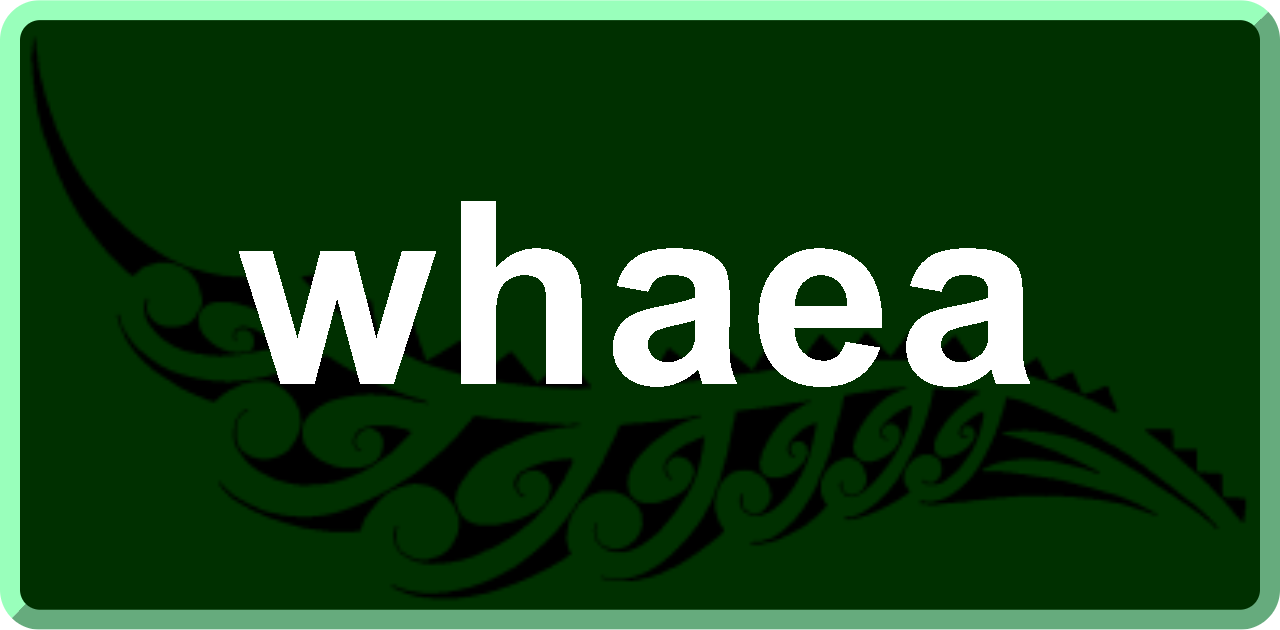 whaea: mother, aunt