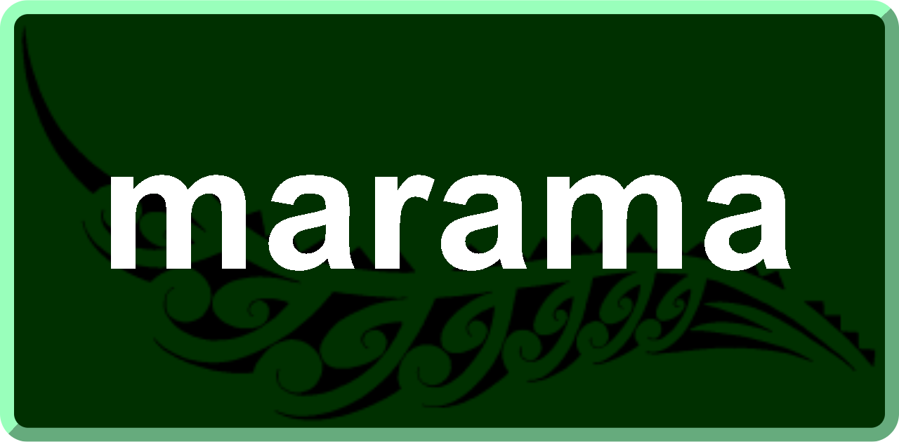 marama: moon / month