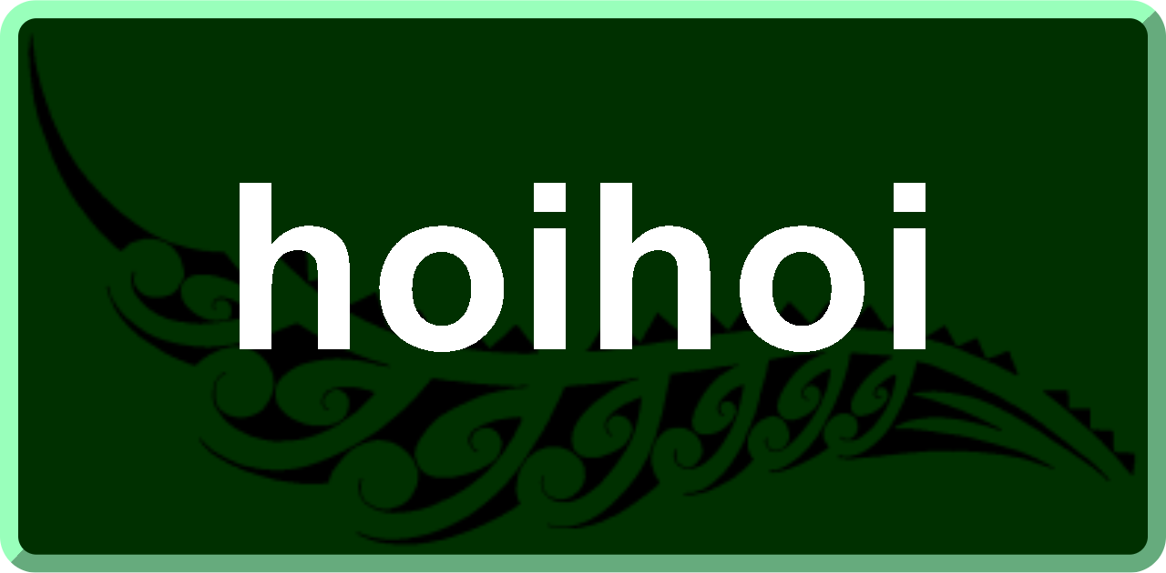 hoihoi: noise, noisey