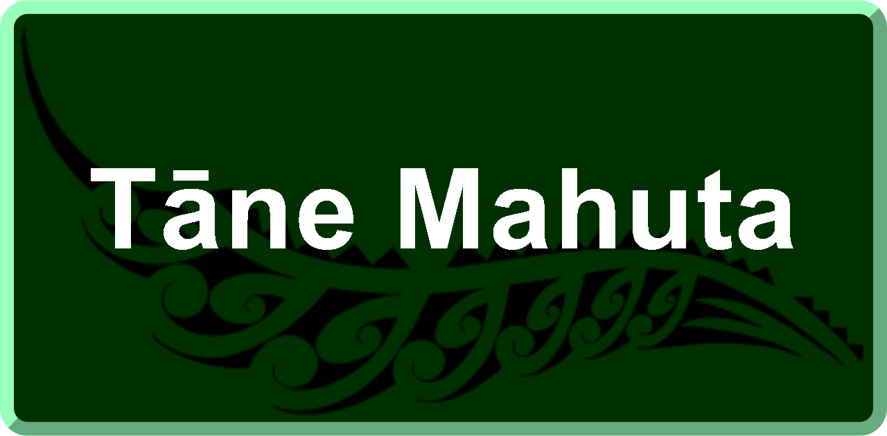 Tāne Mahuta: Atua of the forest and all that dwell therein, especially ...