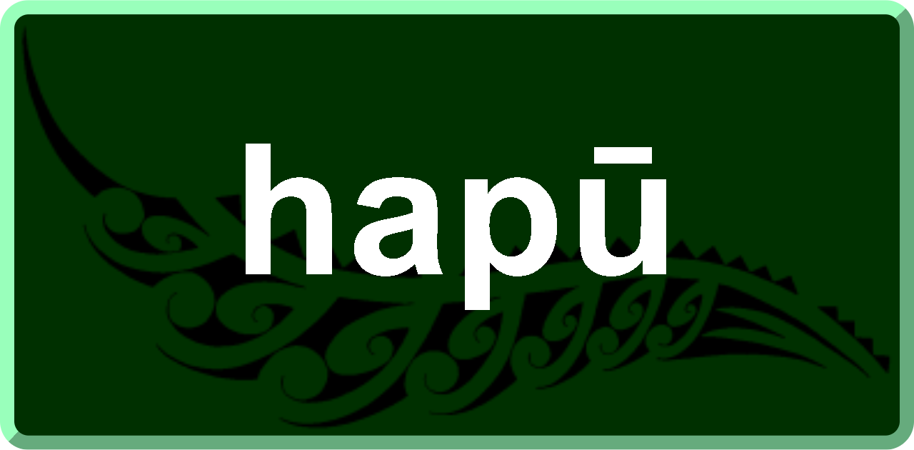 hapū: sub-tribe