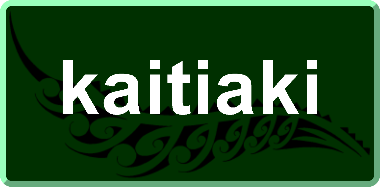 kaitiaki: care giver