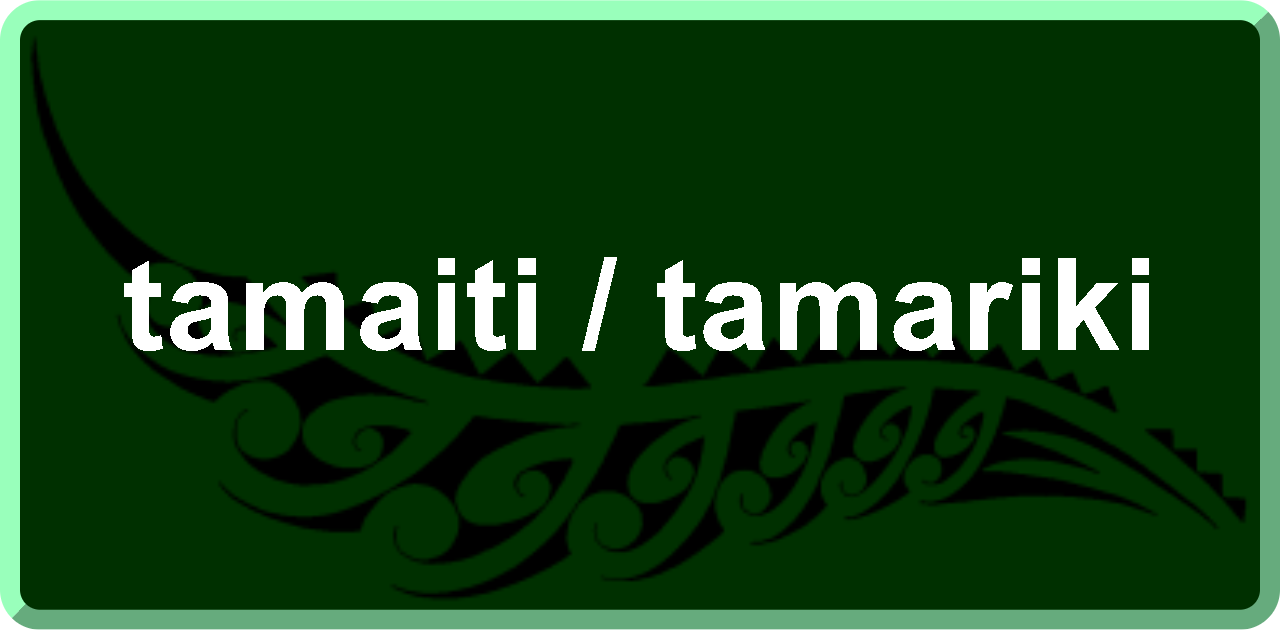 tamaiti / tamariki: child / children