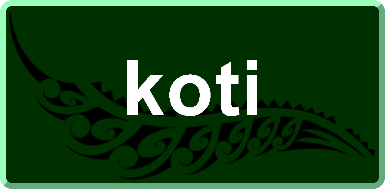 koti: coat
