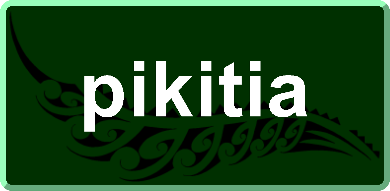 pikitia: picture