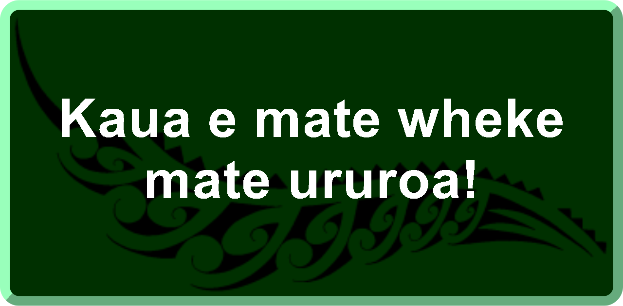 Kaua e mate wheke mate ururoa!: Don’t die like an octopus, die like a ...
