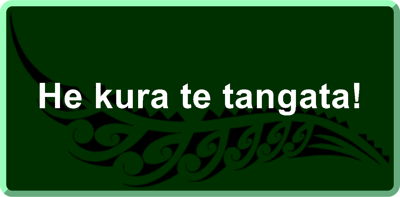 He kura te tangata!: We are all precious!