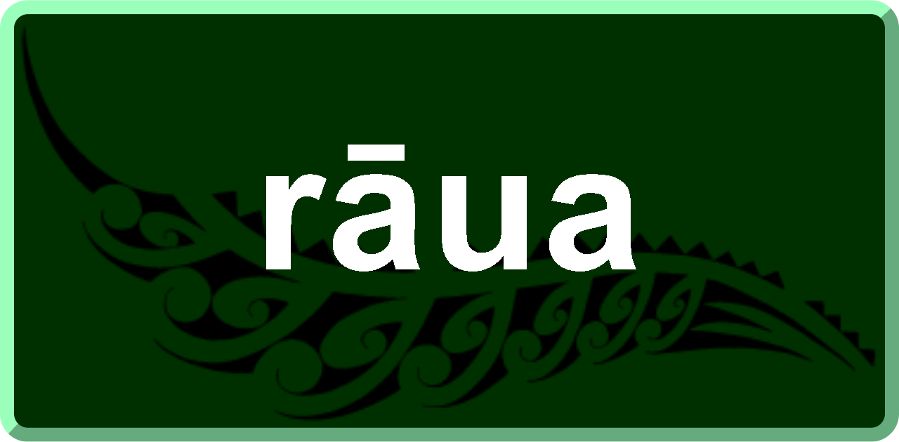 rāua: they (2 people)